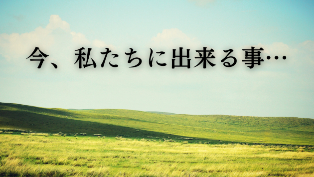 ミャンマーで起きた地震について｜ノーマ NOMA｜coconalaブログ
